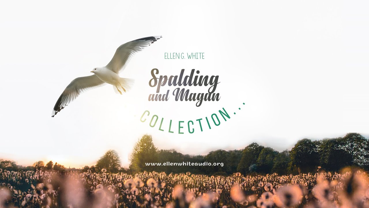 SpM-055 - Meat Diet and Life in Cities - YouTube