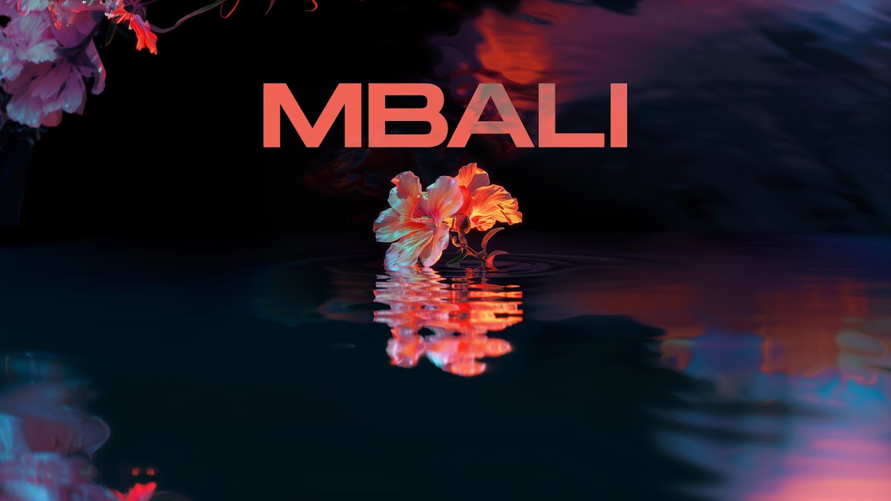 DISHYPE - Mbali (Visualizer) - YouTube