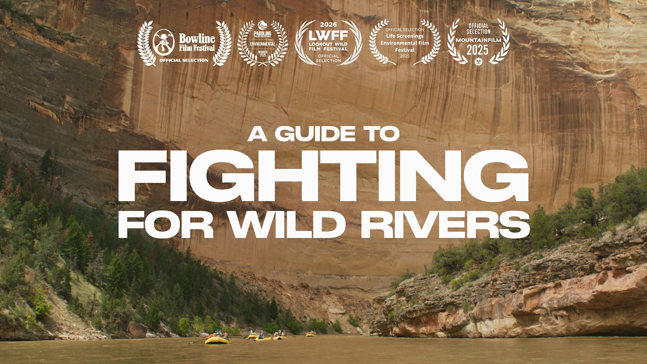 A Guide to Fighting for Wild Rivers | Presented by OARS - YouTube