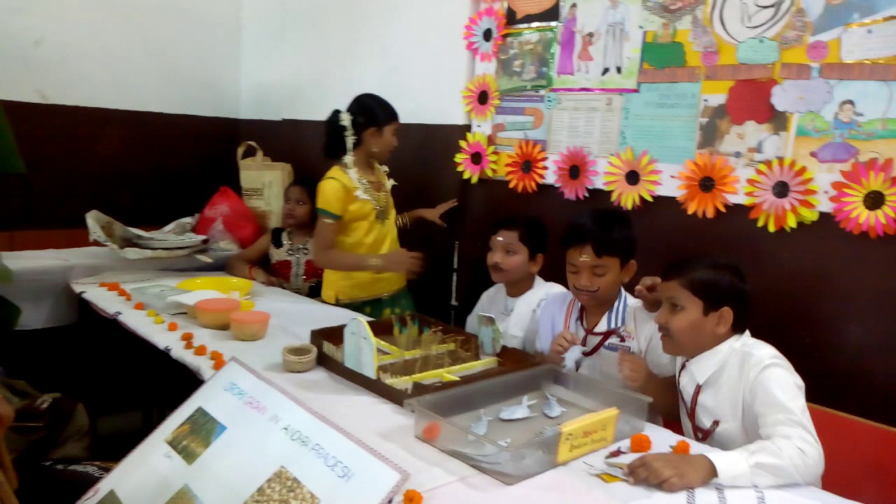 ANDRA PRADESH EXHIBITION OF DAV PUBLIC SCHOOL , CDA SECTOR 6, CUTTACK ...