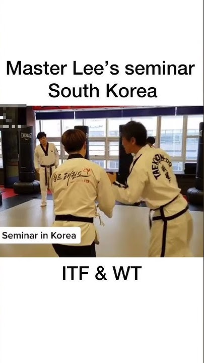 【ITF & WT】Master Lee’s South Korea seminar #shorts - YouTube