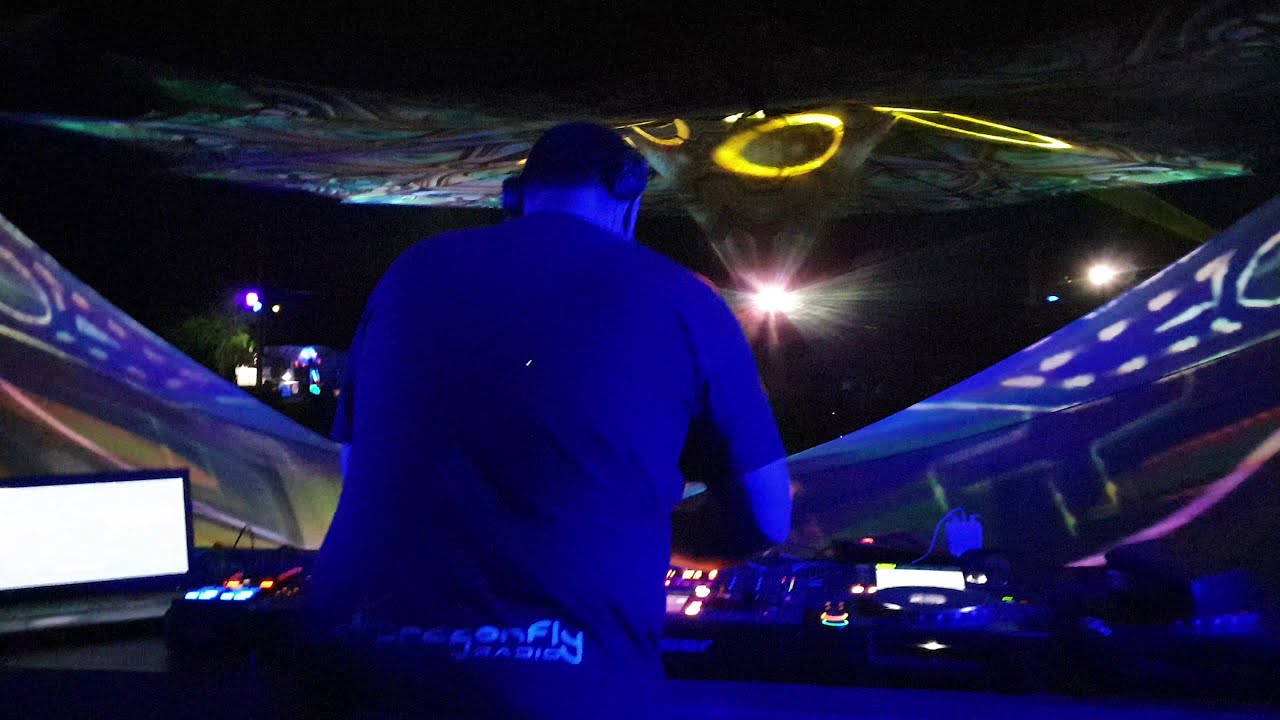 SECTOR DJ set @ FREE EARTH FESTIVAL 2019 (2) - YouTube