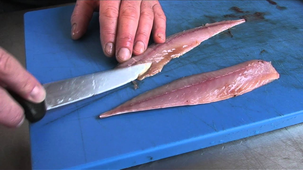 fileren van makreel - YouTube