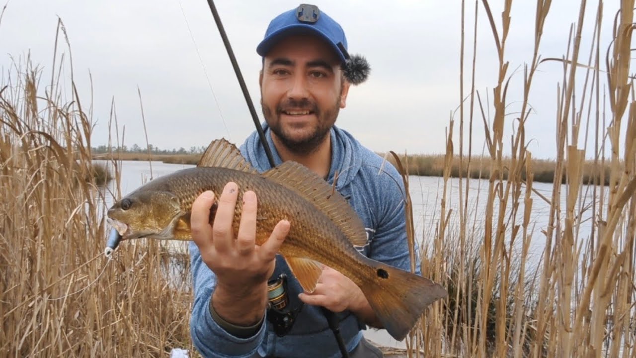 Exploring NC Marshes Using Shrimp and Soft Plastic Lures For Whatever ...