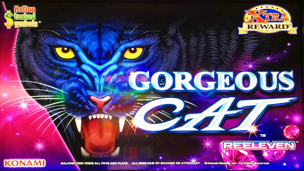 Gorgeous Cat slot machine, DBG - YouTube