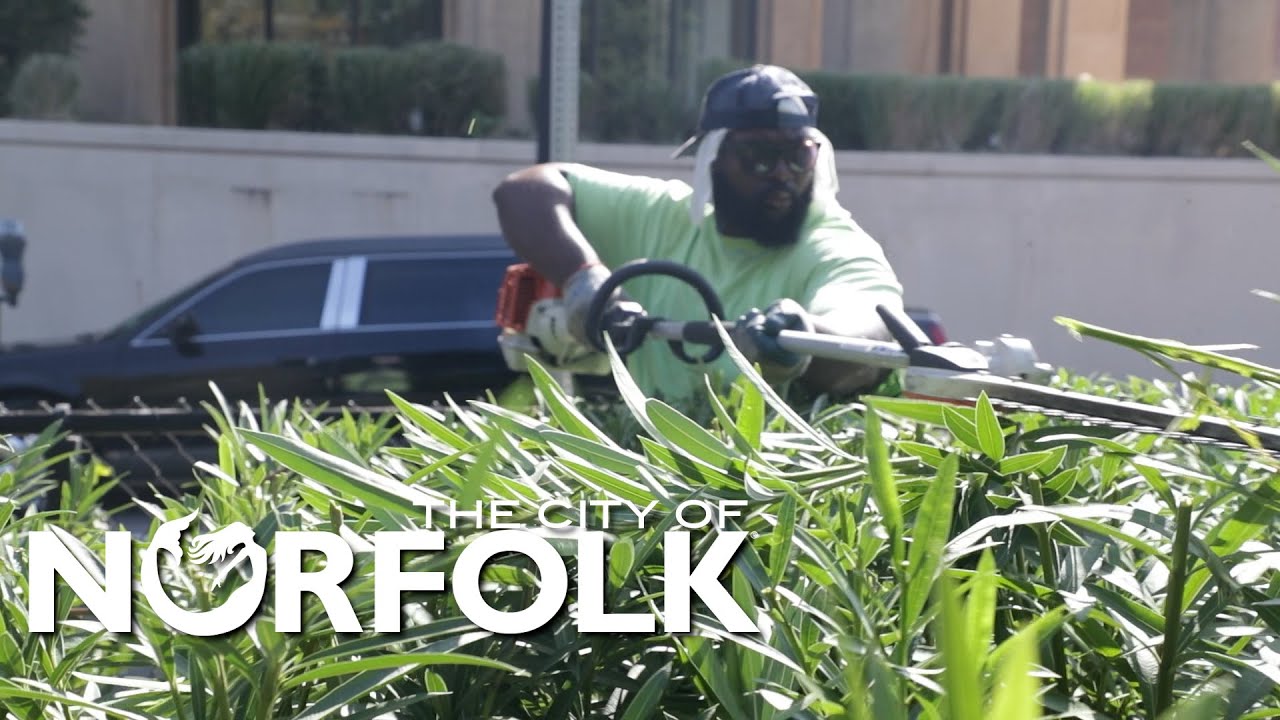 Keeping The City Beautiful- A Groundskeeper's Story - YouTube