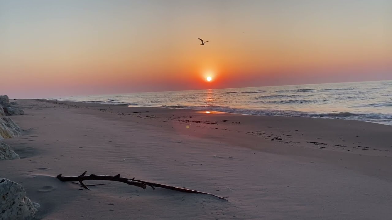 Calming Sunrise Ambience - Beautiful Time-lapse at the end ( Relaxing ...