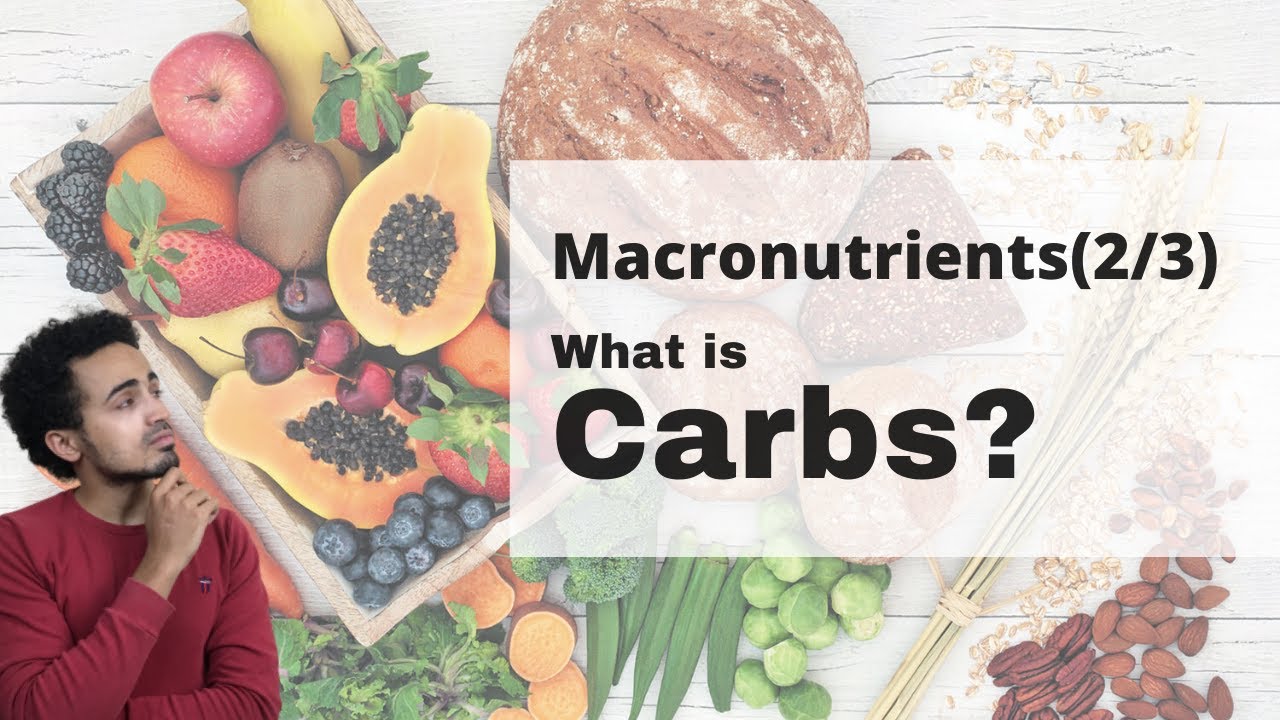 What is Carbohydrates? explained 2/3 Macronutrient! - YouTube