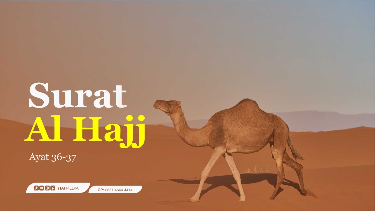 Surat Al Hajj Ayat 34 37 | Daily Quran - YouTube