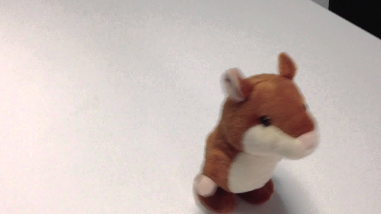 Talking and Walking Hamster, electronic toys - YouTube