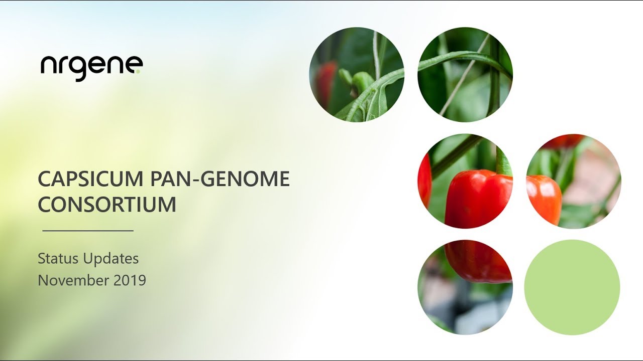 Capsicum webinar - Understanding Comprehensive Genomic Diversity in the ...