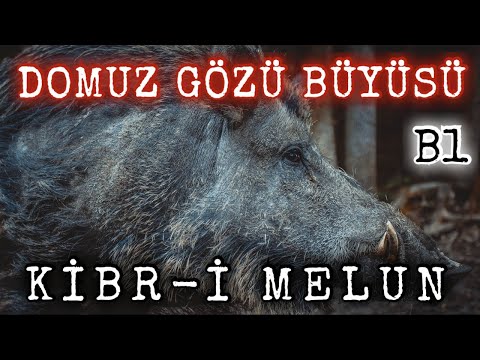DOMUZ GÖZÜ BÜYÜSÜ 1.BÖLÜM | Korku Hikayeleri | Cin Musallatı | Büyü