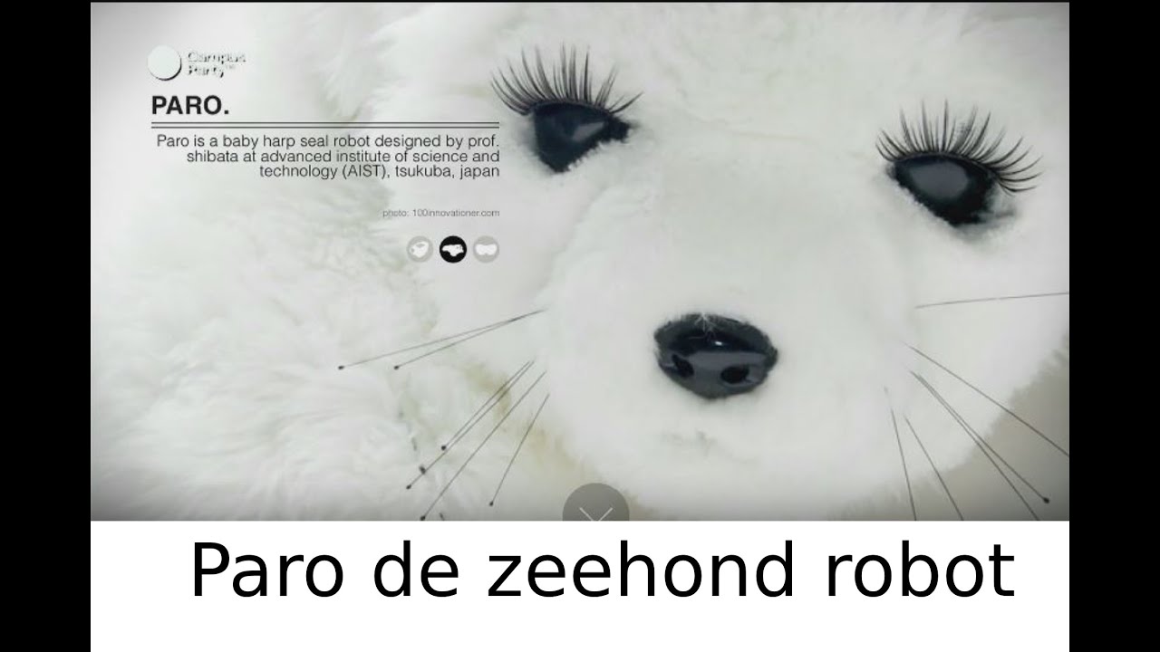 Robots in de zorg en dienstverlening #2 - Paro de zeehond robot - YouTube