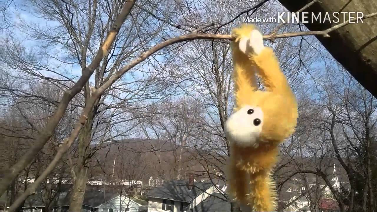 The monkey momo show episode 1 - YouTube