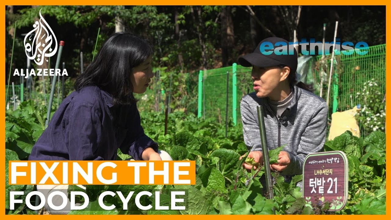 Fixing the Food Cycle | earthrise - YouTube