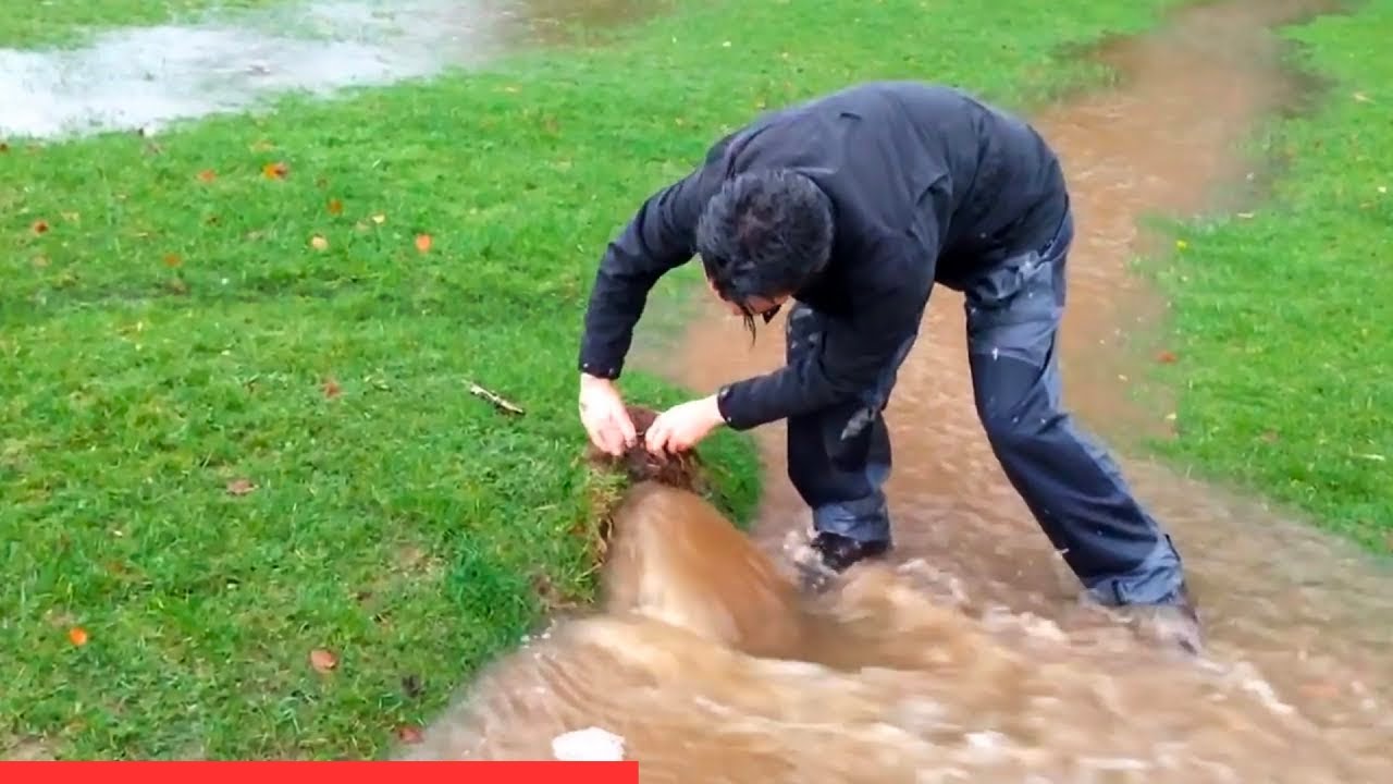 One In A Billion Moments Captured On Camera | Rarest moments caught on ...