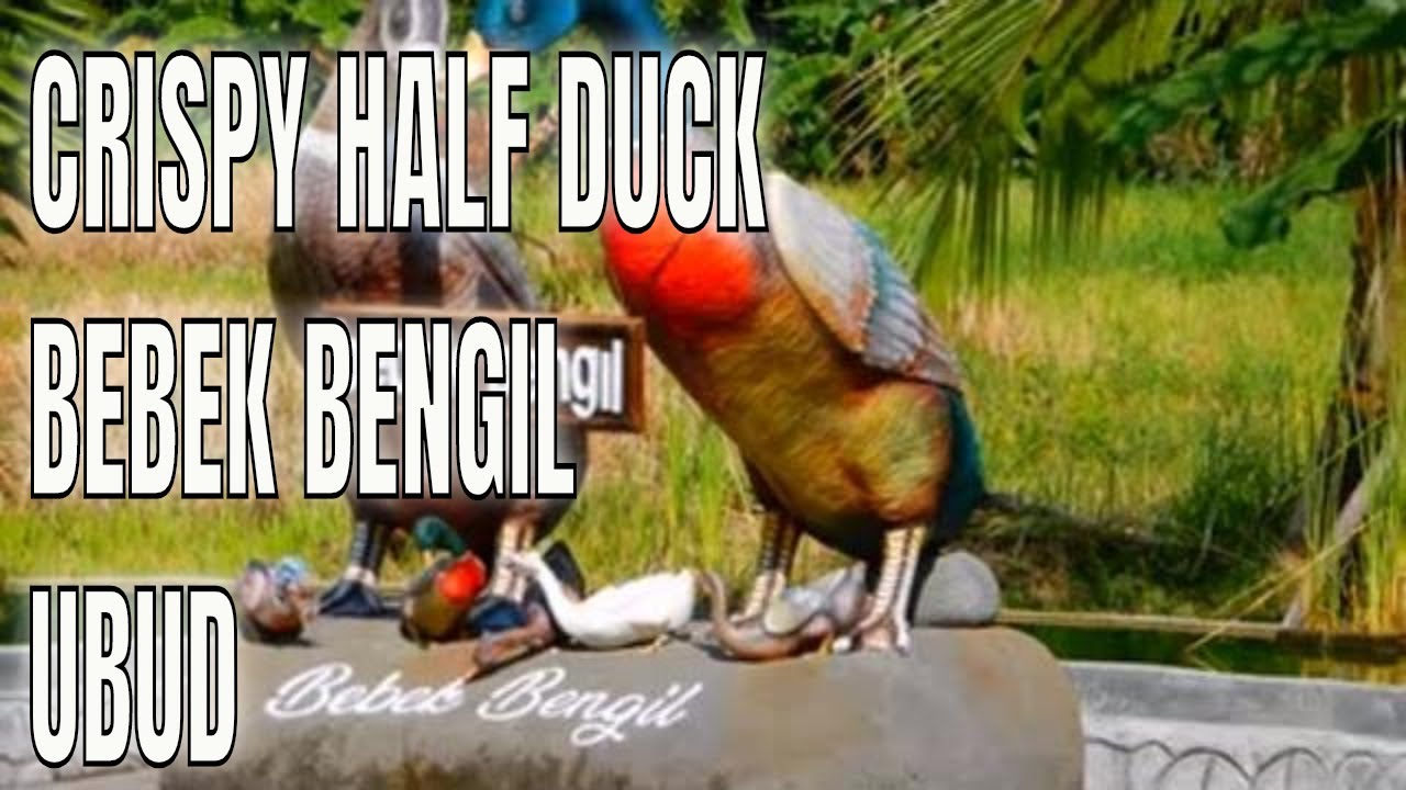 WHERE TO EAT IN UBUD-CRISPY FRIED HALF DUCK AT BEBEK BENGIL RESTAURANT ...