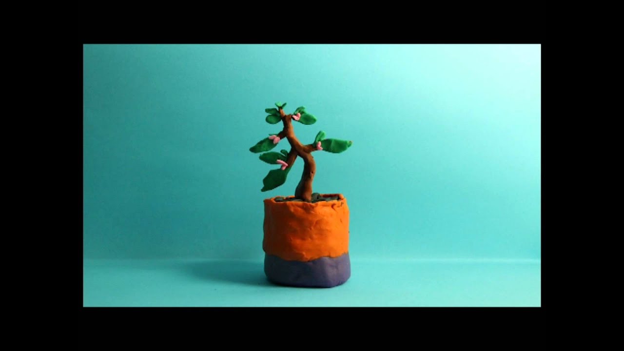 Plant Growing Sequence - Claymation - YouTube