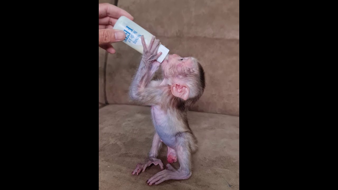 Poor babe Kaka cry went he drink milk. - YouTube