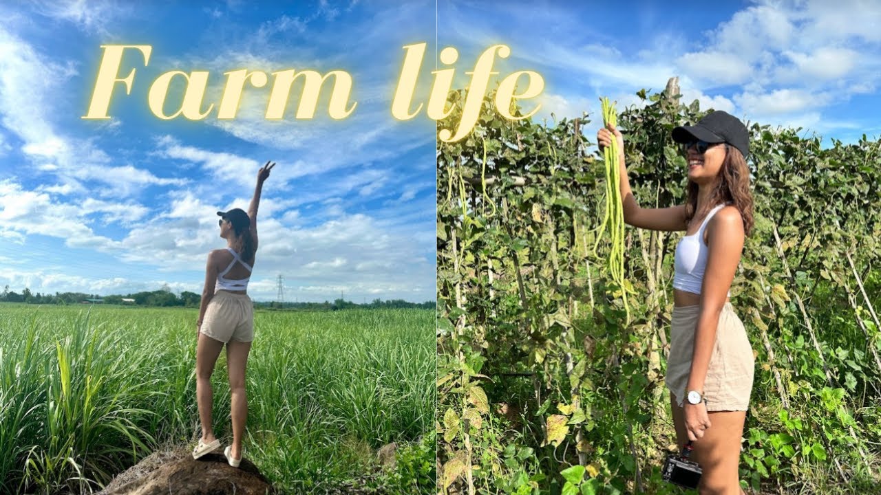Farm Life (Negros Occidental) - YouTube