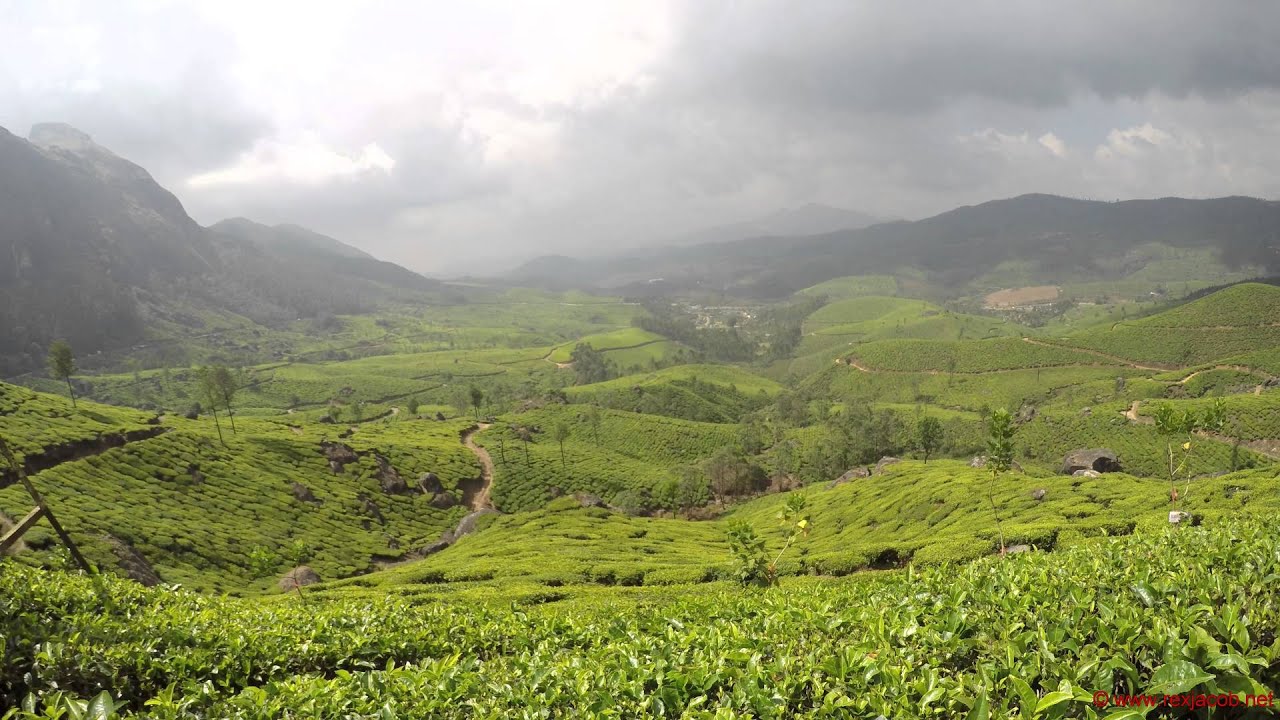 Time Lapse at a Tea Estate in Munnar (4K Video) - YouTube