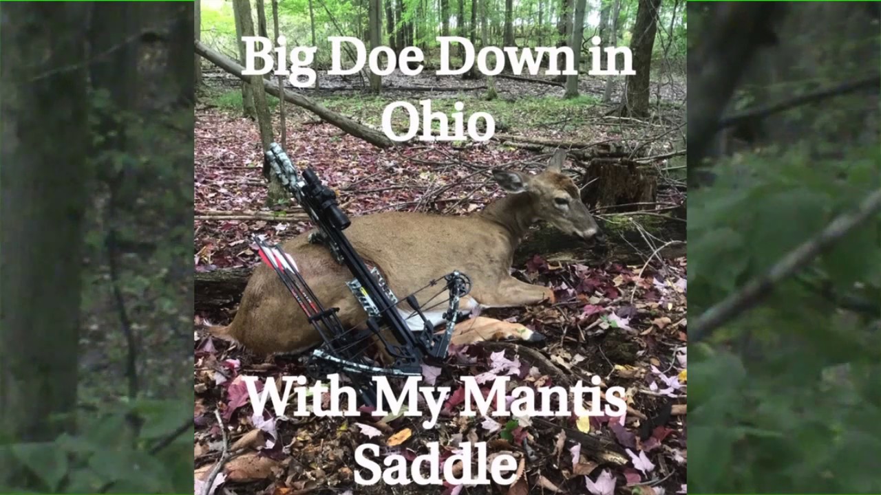 First hunt with my Tethrd mantis saddle - YouTube