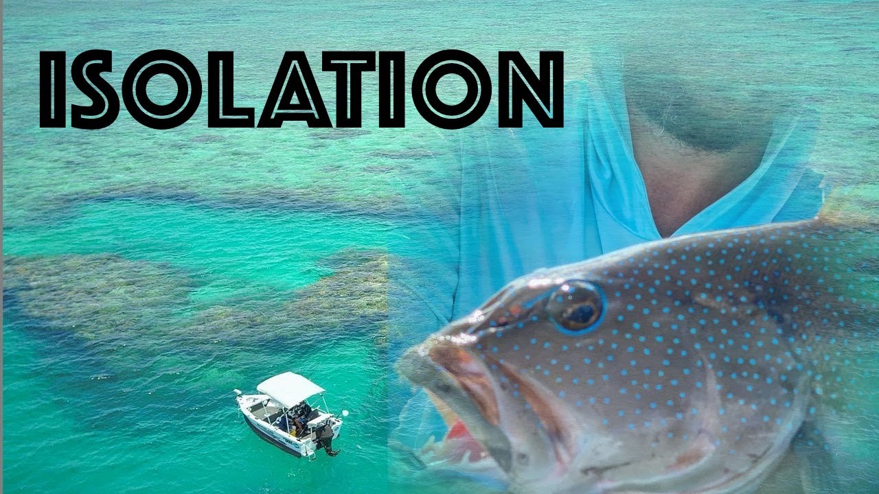 When Fishing is all you can do.. Isolation Fishing Great Barrier Reef ...