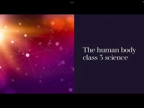 The human body class 3 science part 1 - YouTube