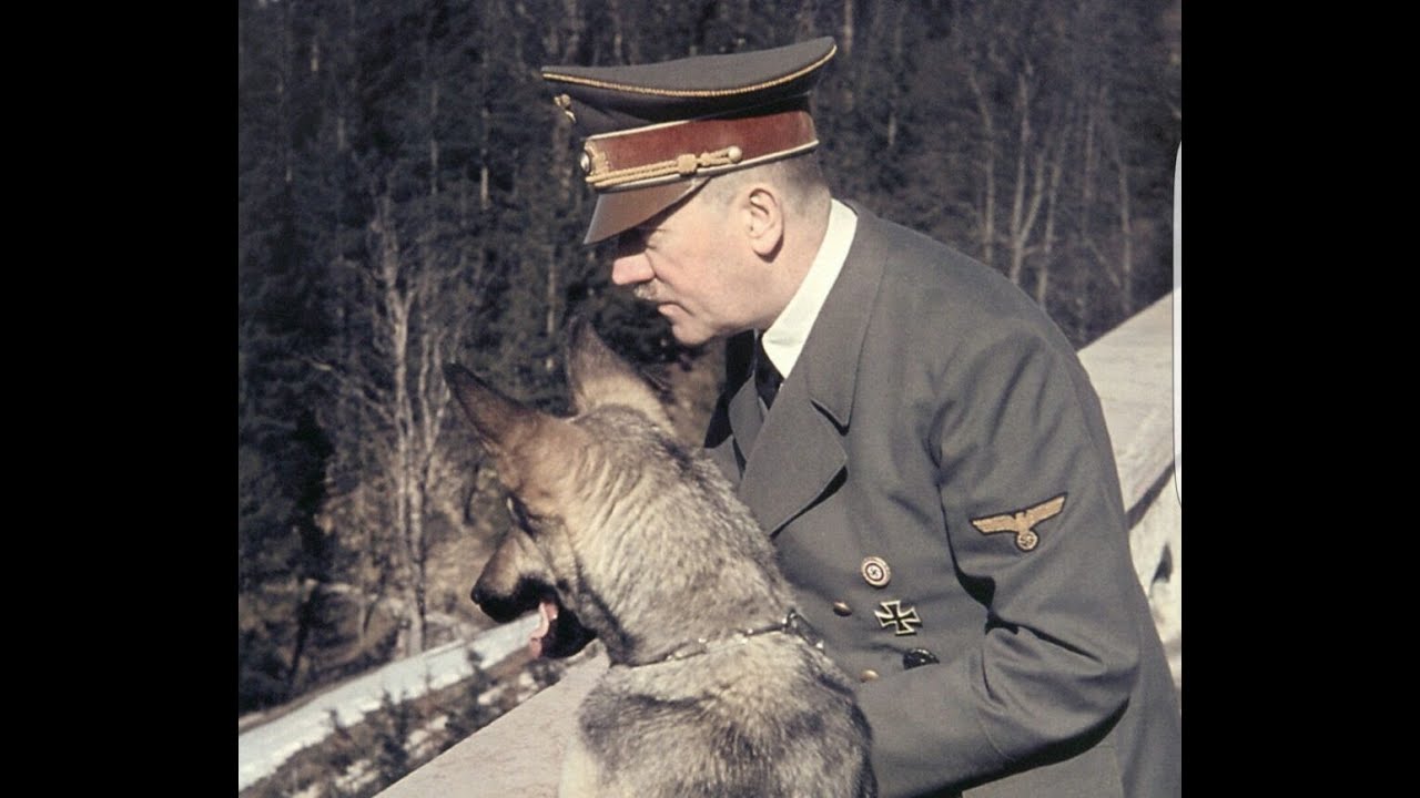 15 interesting facts about Adolf Hitler - YouTube