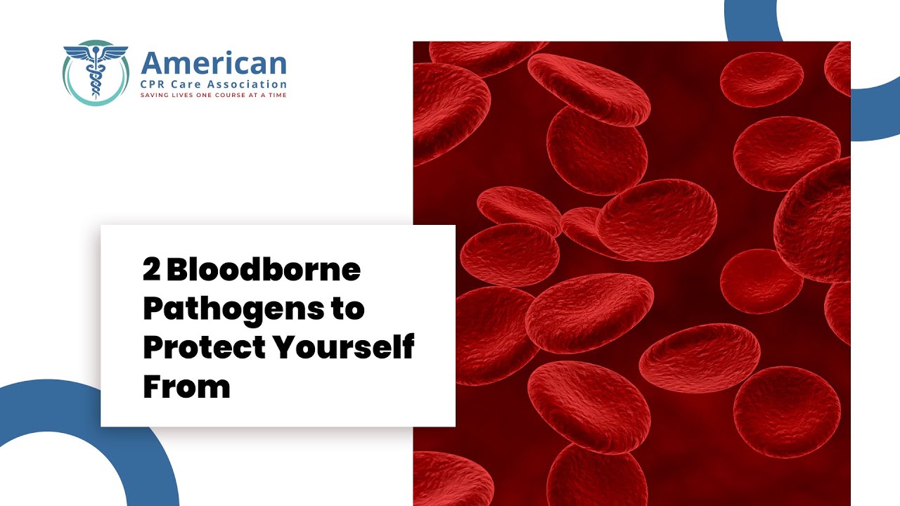 Bloodborne Pathogens to Protect Yourself From - YouTube