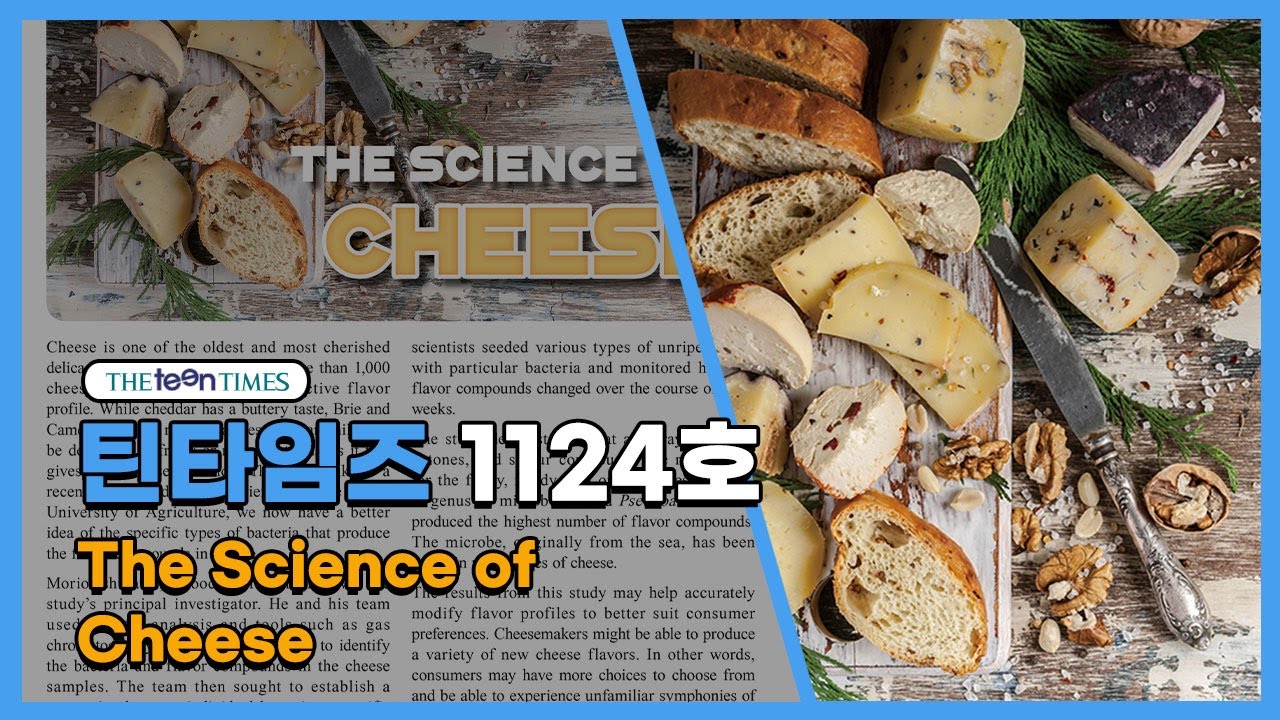 [The Teen Times1124호 Science] The Science of Cheese - YouTube