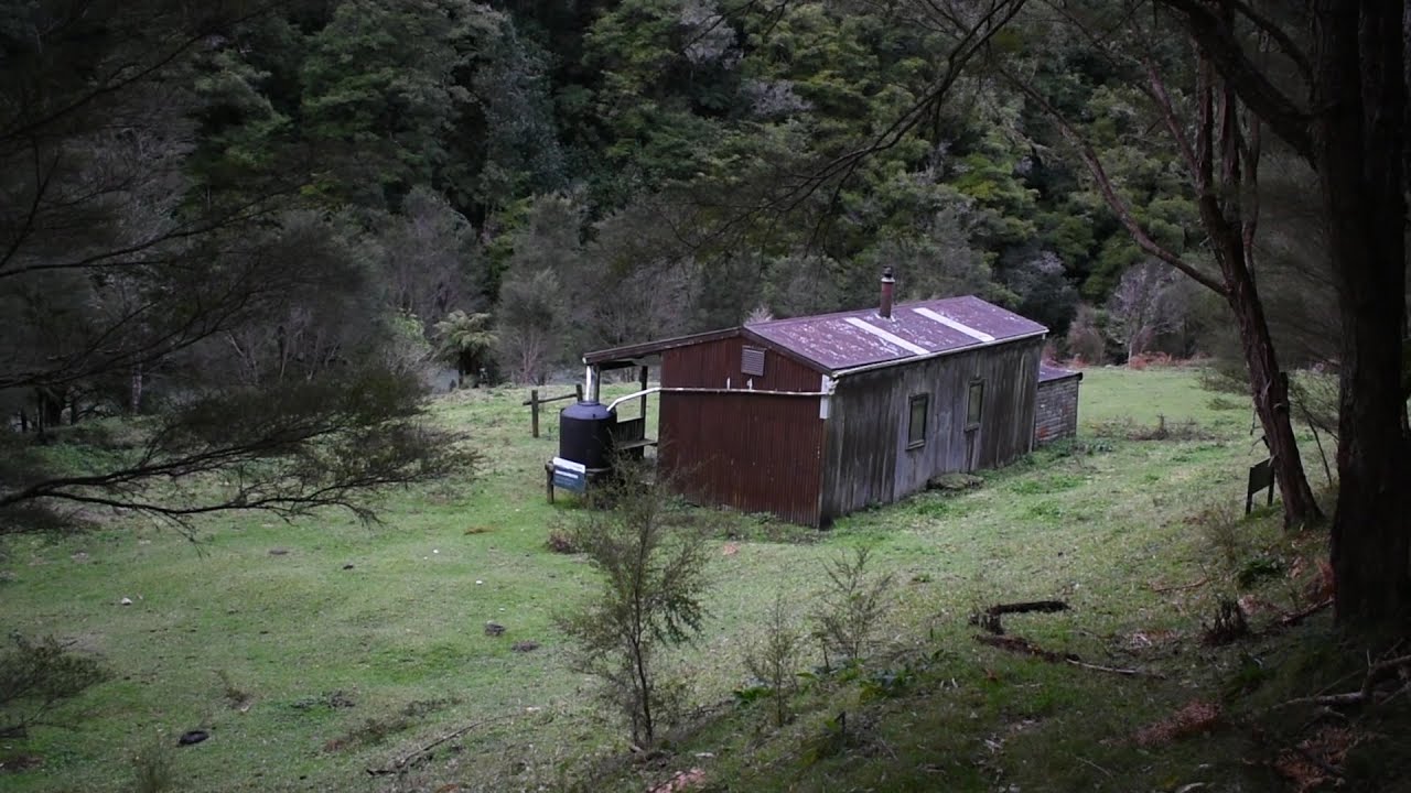 Ohora Hut Overnight Tramp, Te Urewera - YouTube