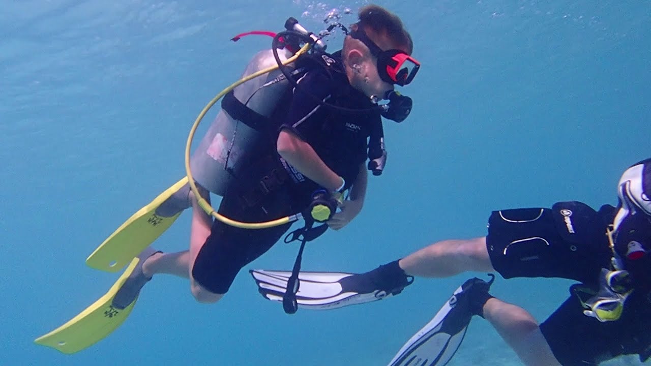 PADI Bubblemaker - Toucan Diving Bonaire - YouTube