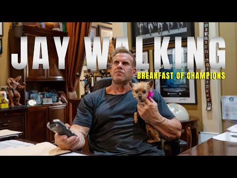 BREAKFAST OF CHAMPIONS | JAYWALKING