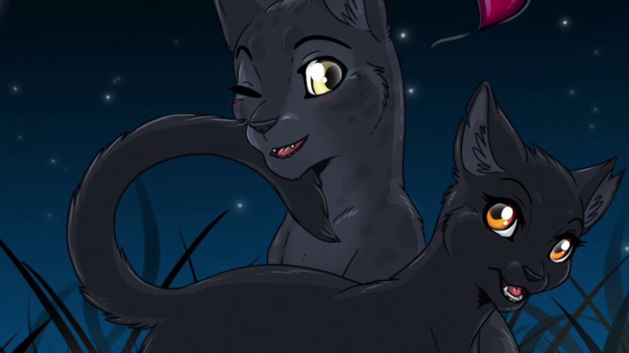 Top 10 Most Beautiful She-Cats - YouTube