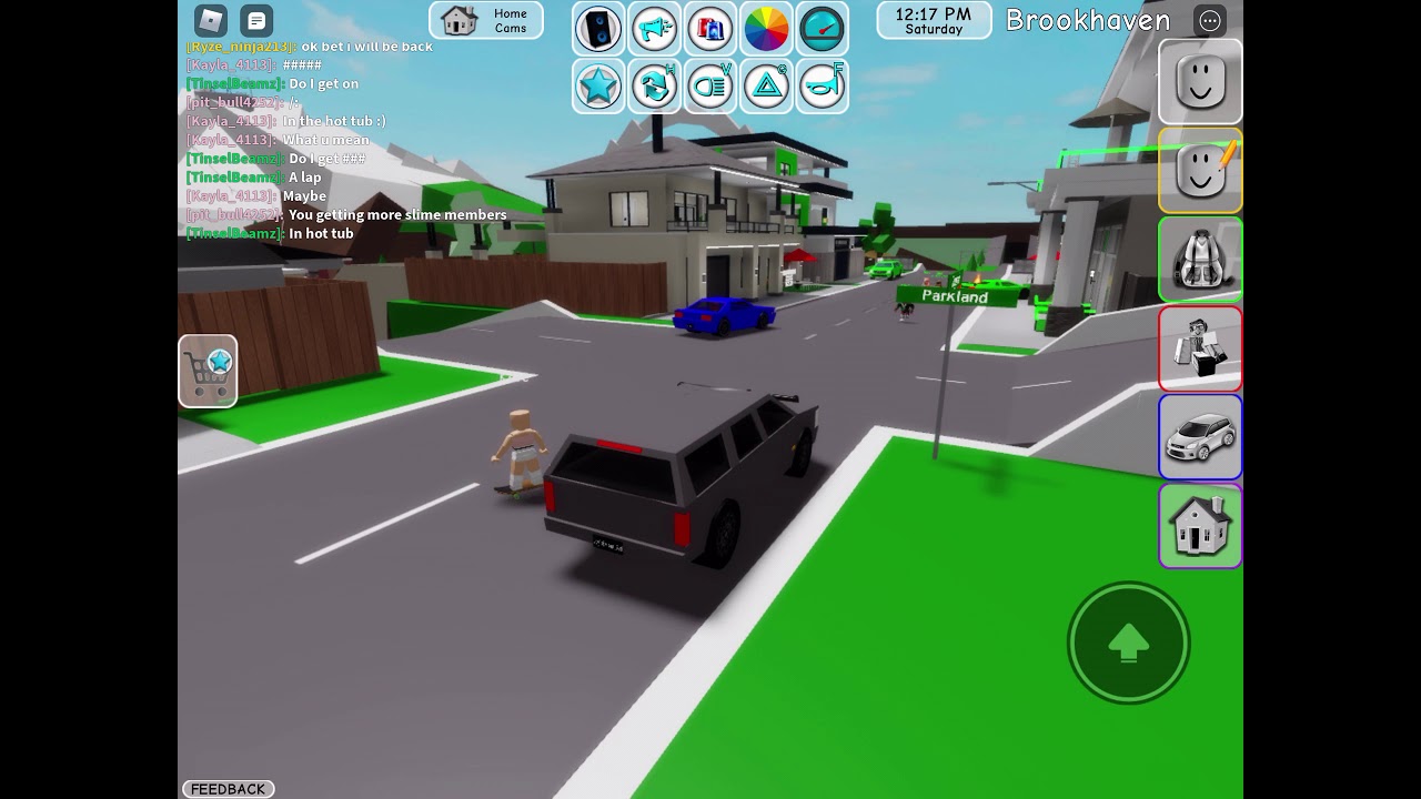 Brookhaven gameplay with my friend - YouTube