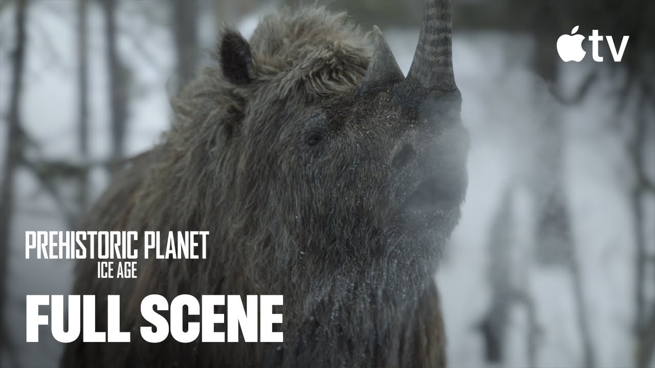 Prehistoric Planet: Ice Age — Rhinos Are Fast Runners | Season 3 Scene ...