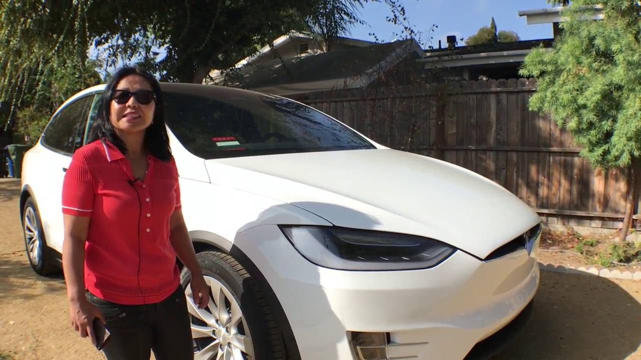 Meet My Buddy Tesla - YouTube