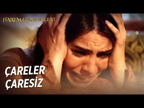 Sinir Krizi Değil Mecburi Şov