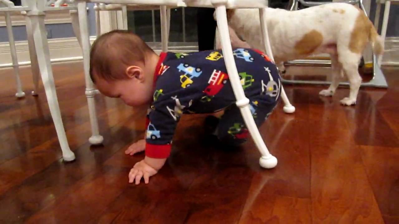 Stuck Under A Chair - YouTube