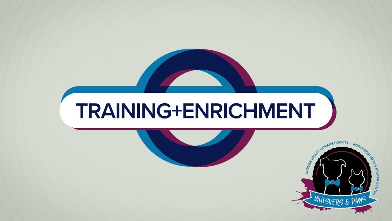 Training & Enrichment - YouTube