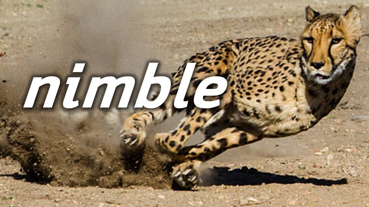 [하루 5분 매일영어] nimble - YouTube