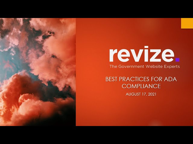 Revize The Government Website Experts