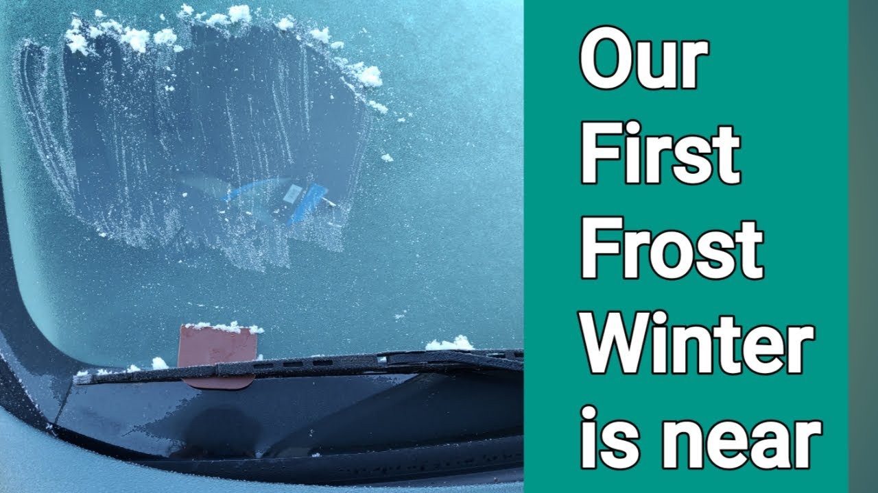 Our First Frost, will it be an early winter? - YouTube