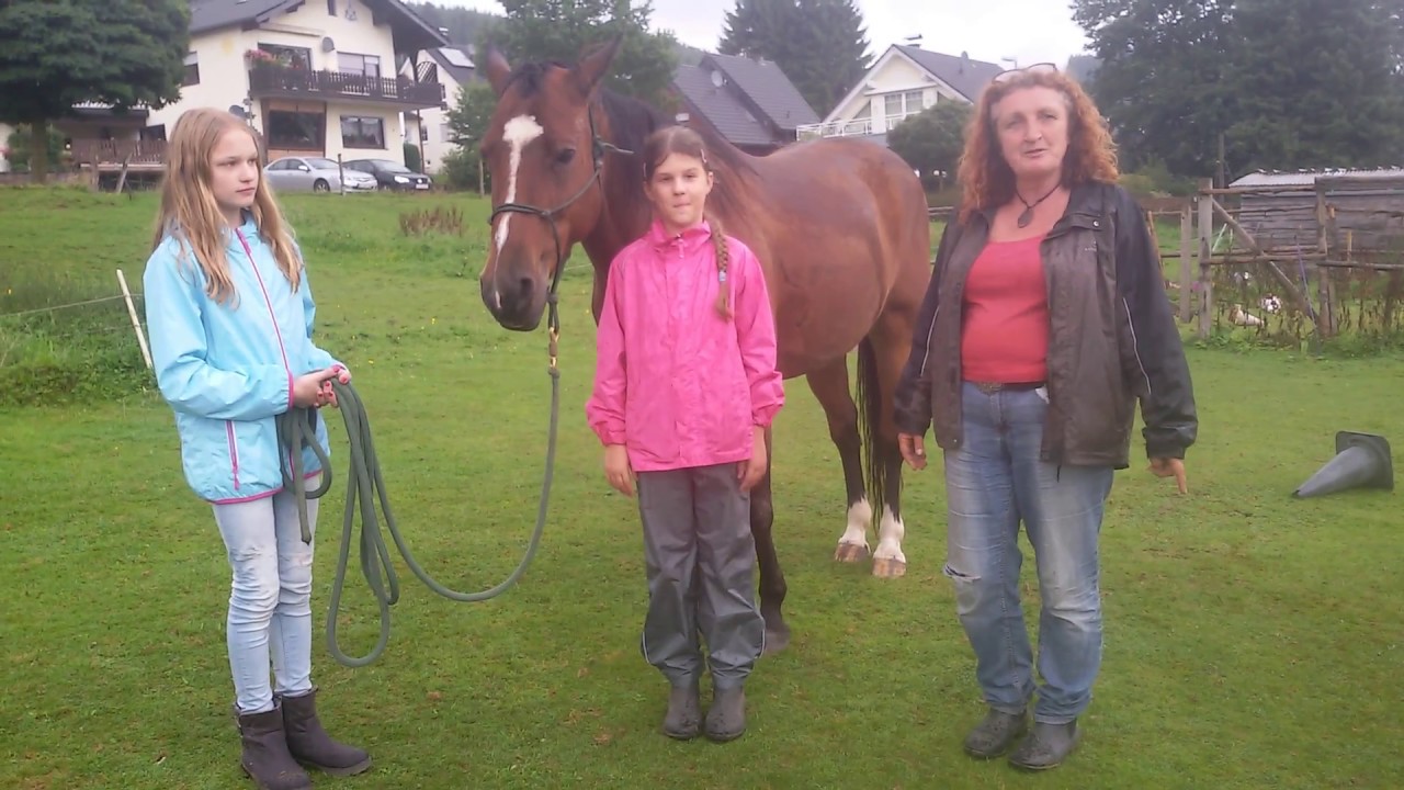 Filmprojekt mit Ferienkindern zum Friendly Game nach Parelli - YouTube