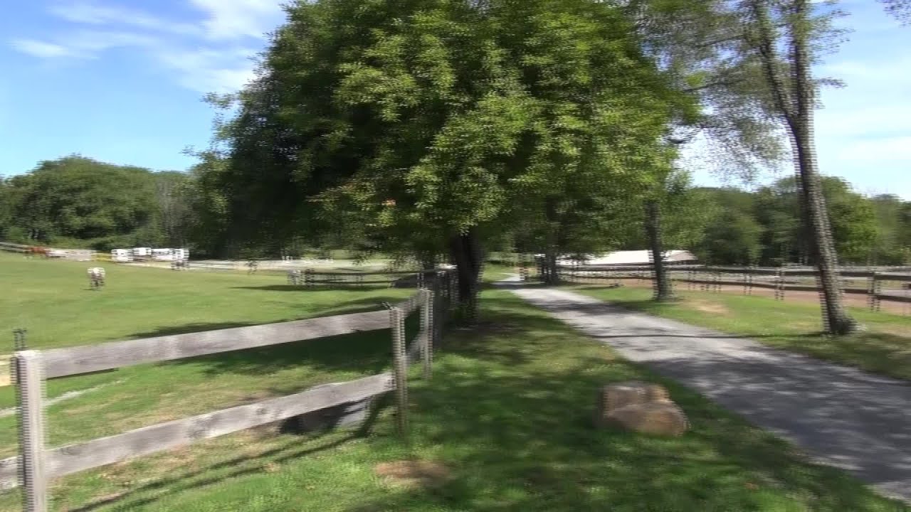 VIDEO NOW: Warning Signs of EEE in Horses - YouTube