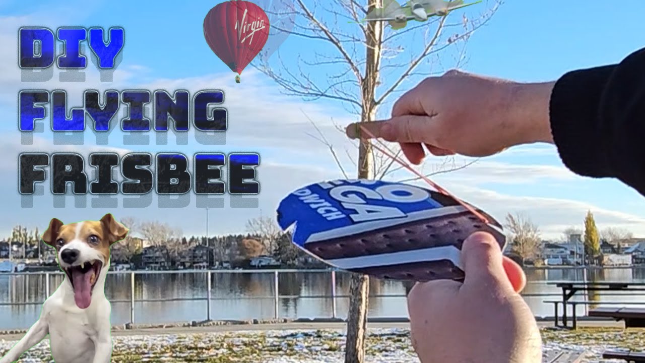 Make Your Own Cardboard Frisbee! Fun DIY Project That Really Flies ...