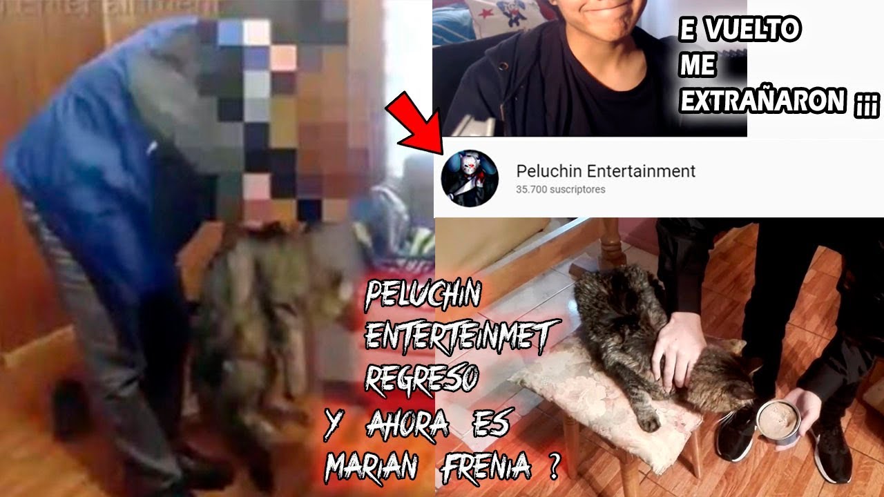 Peluchin Entertainment Regreso a Youtube y tiene un Nuevo gato Ahora se ...