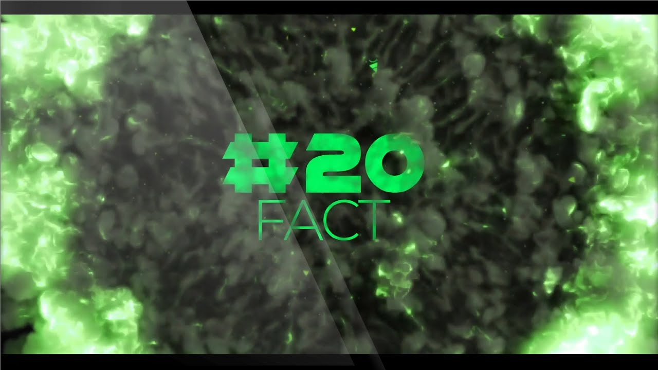 Shocking green shock wave gathers green fact numbers (Fact Slides) Rio ...