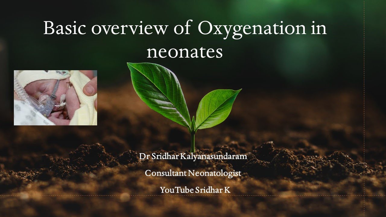 Overview of oxygenation. Why we need Oxygen. Tissue Oxygenation. Dr ...
